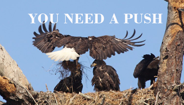 YOU NEED A PUSH - Eastlea Tabernacle